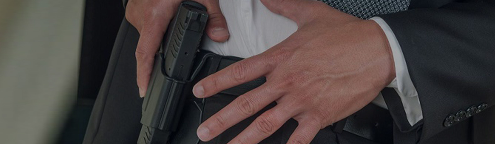 Armed Security Guard - National Security Service