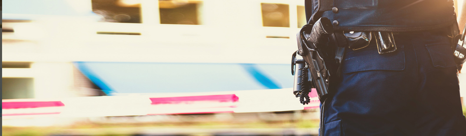 Armed Security Guard - National Security Service