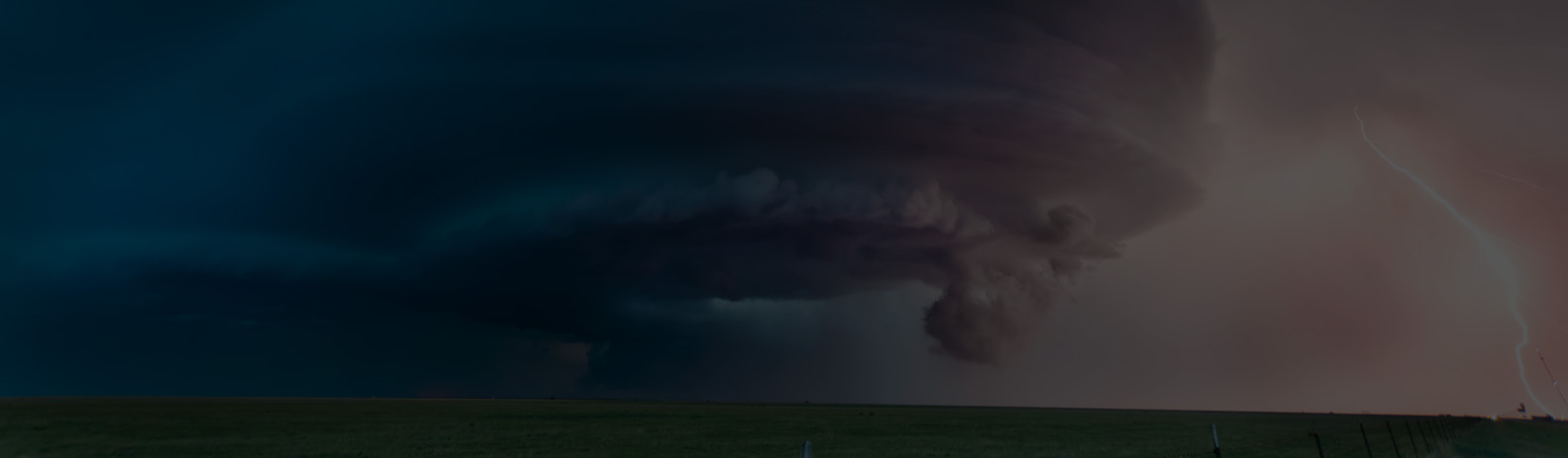 Disaster Response Security Guards - National Security Service