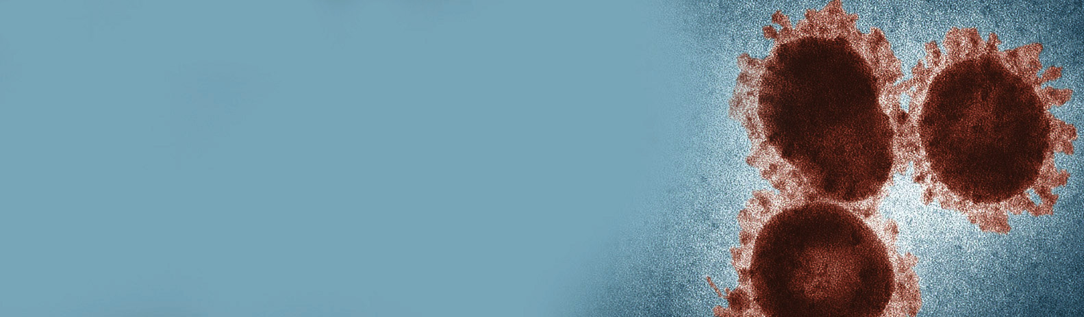 Pandemic - Security Guards for Closed Offices or Visitor Screening