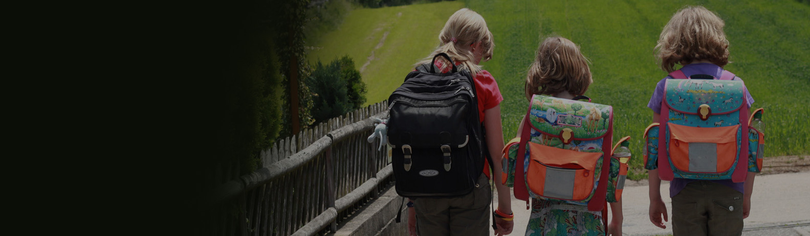 School Security Guards - National Security Service LLC