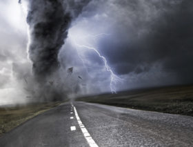 Disaster Response Security Guards - National Security Service